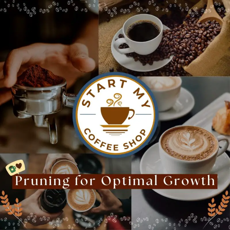 Sow, Grow, and Brew: Growing Coffee Plants Made Easy - Start My Coffee Shop